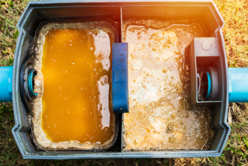 What Causes Grease Trap Overflows in Commercial Kitchens (And How to ...